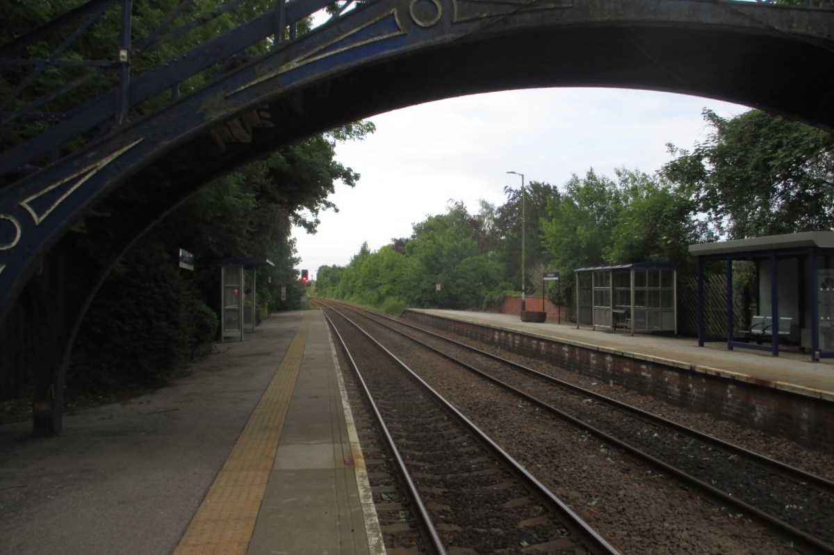 The History of the Shepaug Railroad | Robin Stanley Taylor